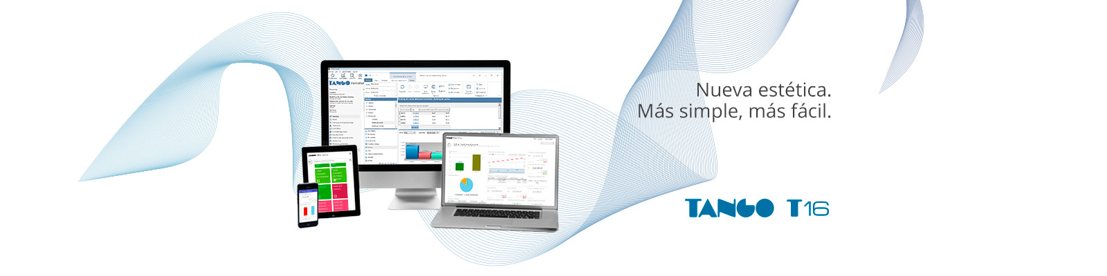 TANGO software - Axoft Argentina